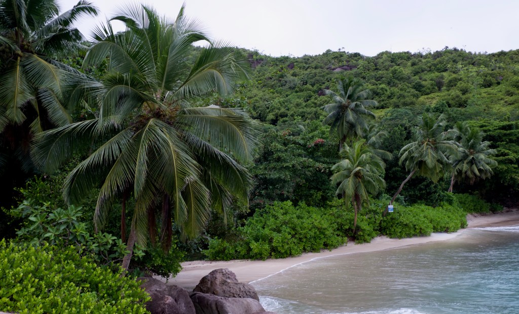 In Pictures | A Postcard From The Seychelles – anexpatabroad
