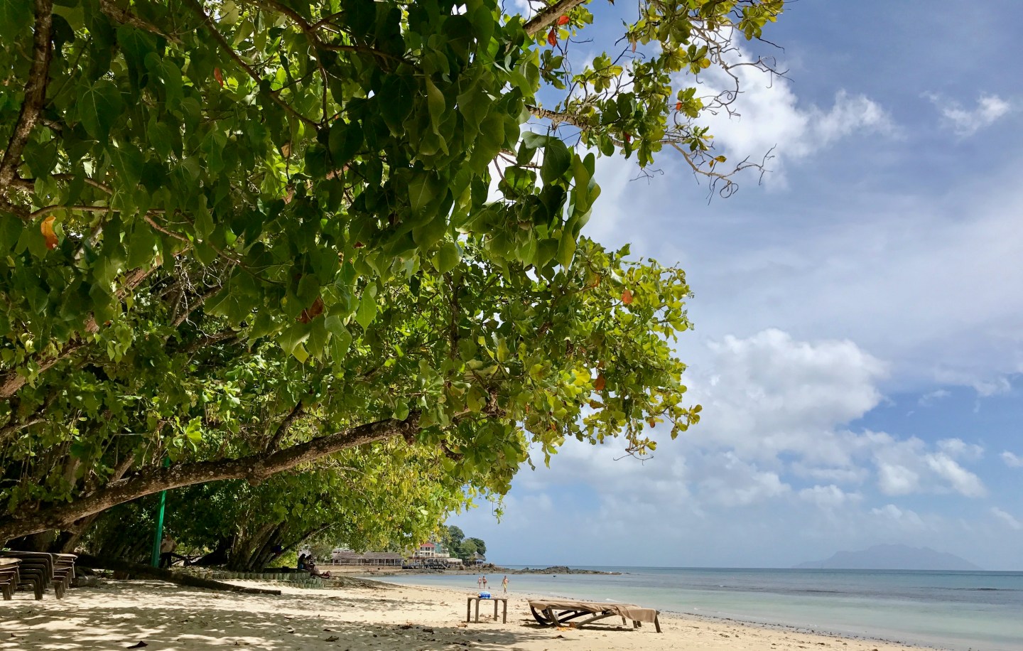 In Pictures | A Postcard From The Seychelles – anexpatabroad