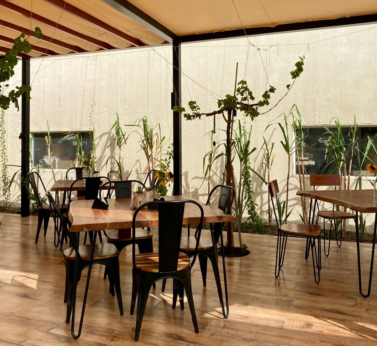 Mazaraa Farm Shop | Abu Dhabi – anexpatabroad