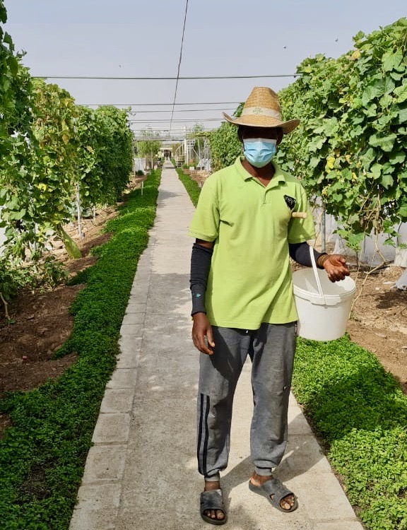 Mazaraa Farm Shop | Abu Dhabi – anexpatabroad